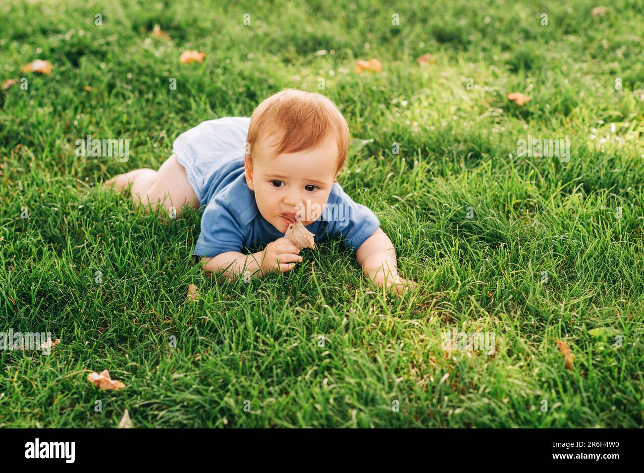 Adorable red haired baby boy crawling on fresh green grass in summer ...