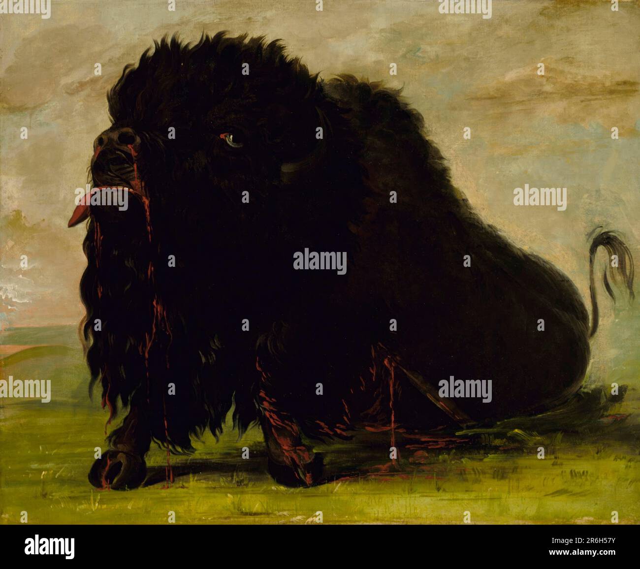 Dying Buffalo, Shot with an Arrow. oil on canvas. Date: 1832-1833 ...