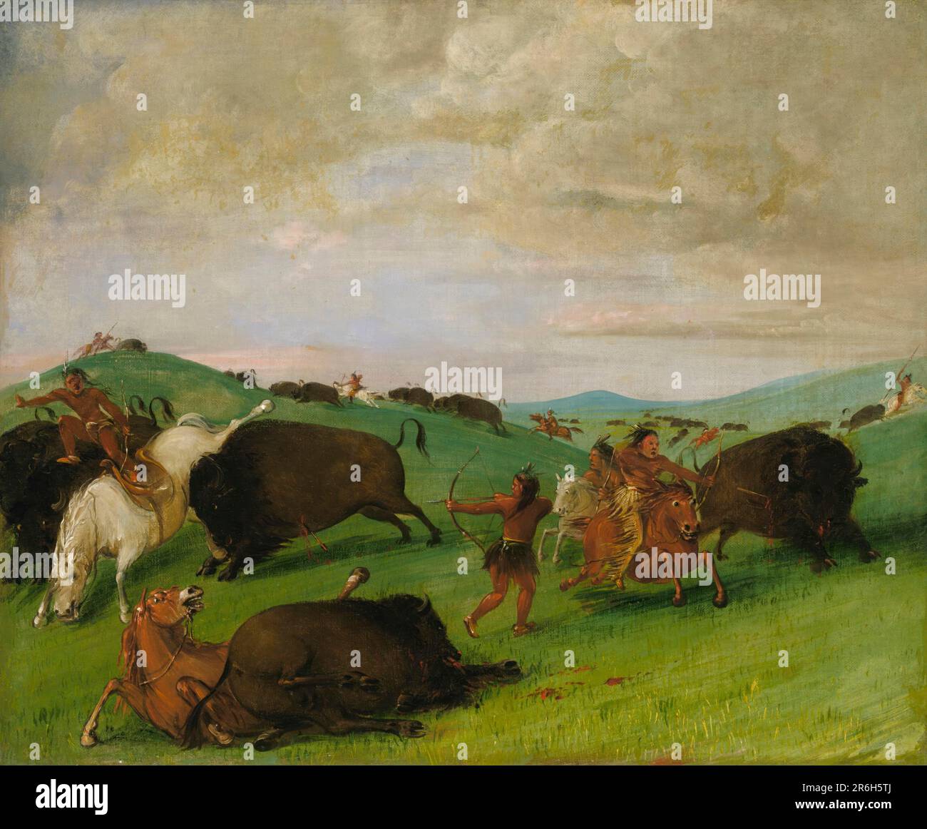 Buffalo Chase, Bulls Making Battle with Men and Horses. oil on canvas ...