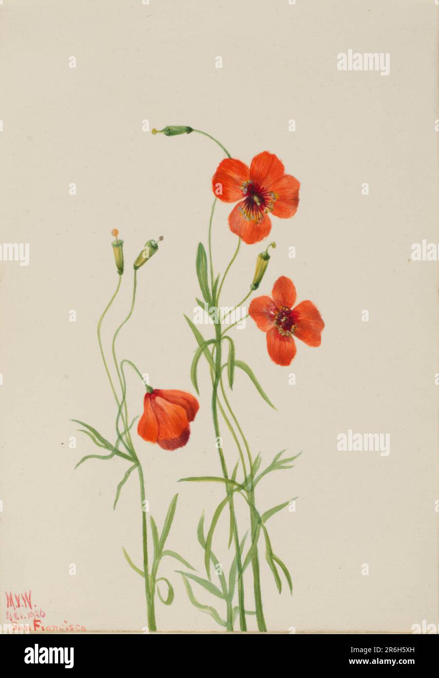 1920s color field painting hi-res stock photography and images - Alamy