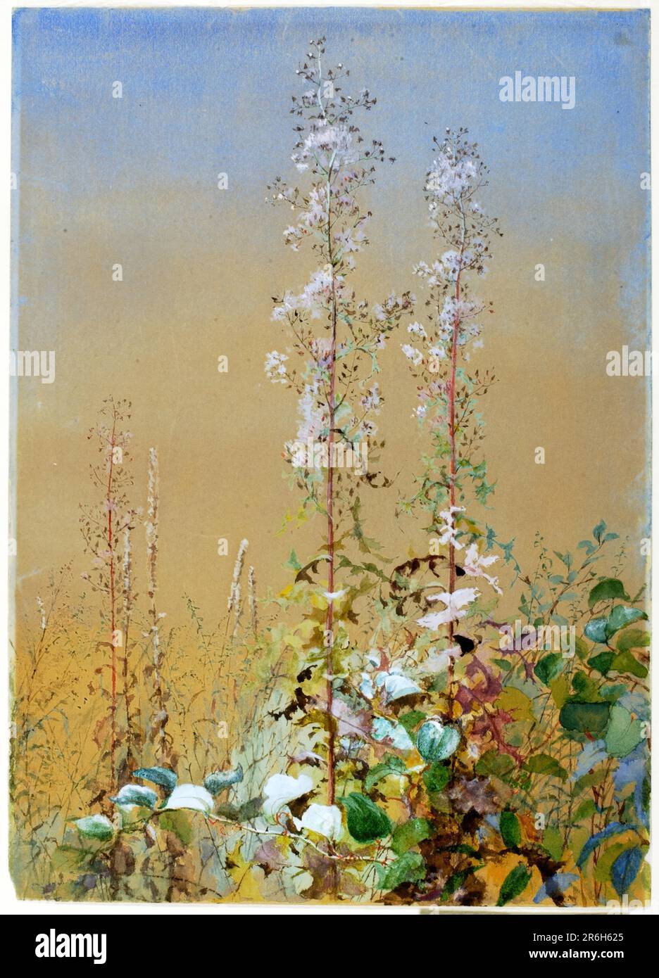 Untitled. Date: ca. 1876. Watercolor on paper. Museum: Smithsonian ...