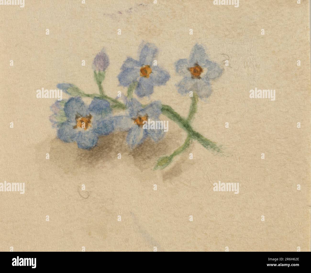 1874 watercolor hi-res stock photography and images - Alamy