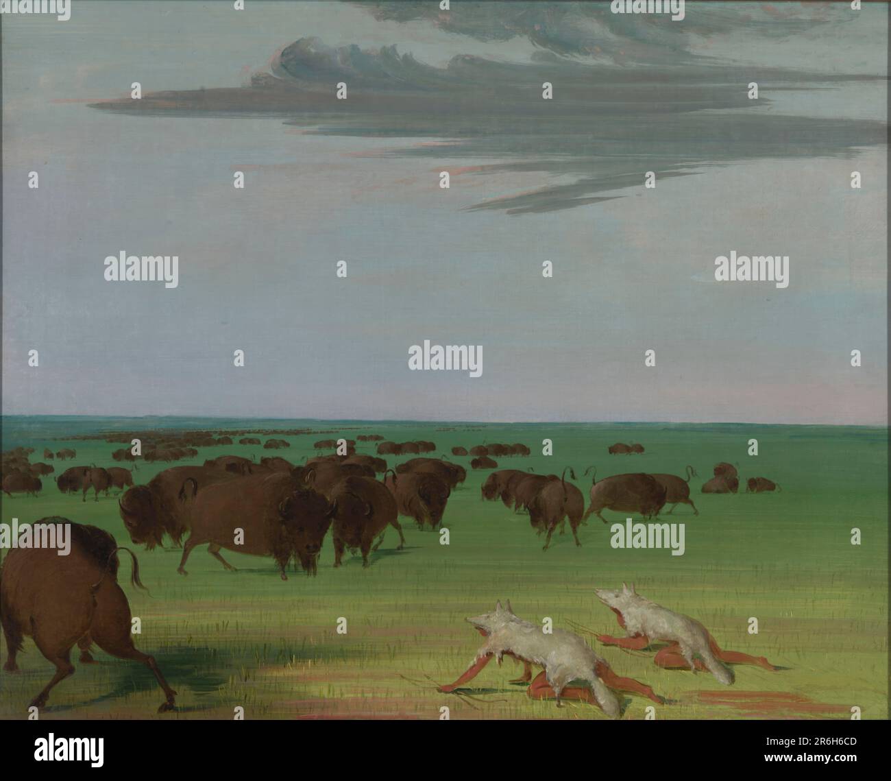 Buffalo Hunt under the Wolf-skin Mask. oil on canvas. Date: 1832-1833 ...