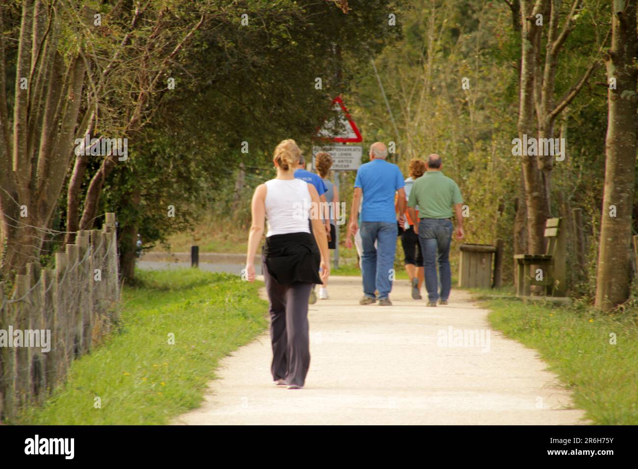 A diverse group of adults walking down a winding path in a lush green ...