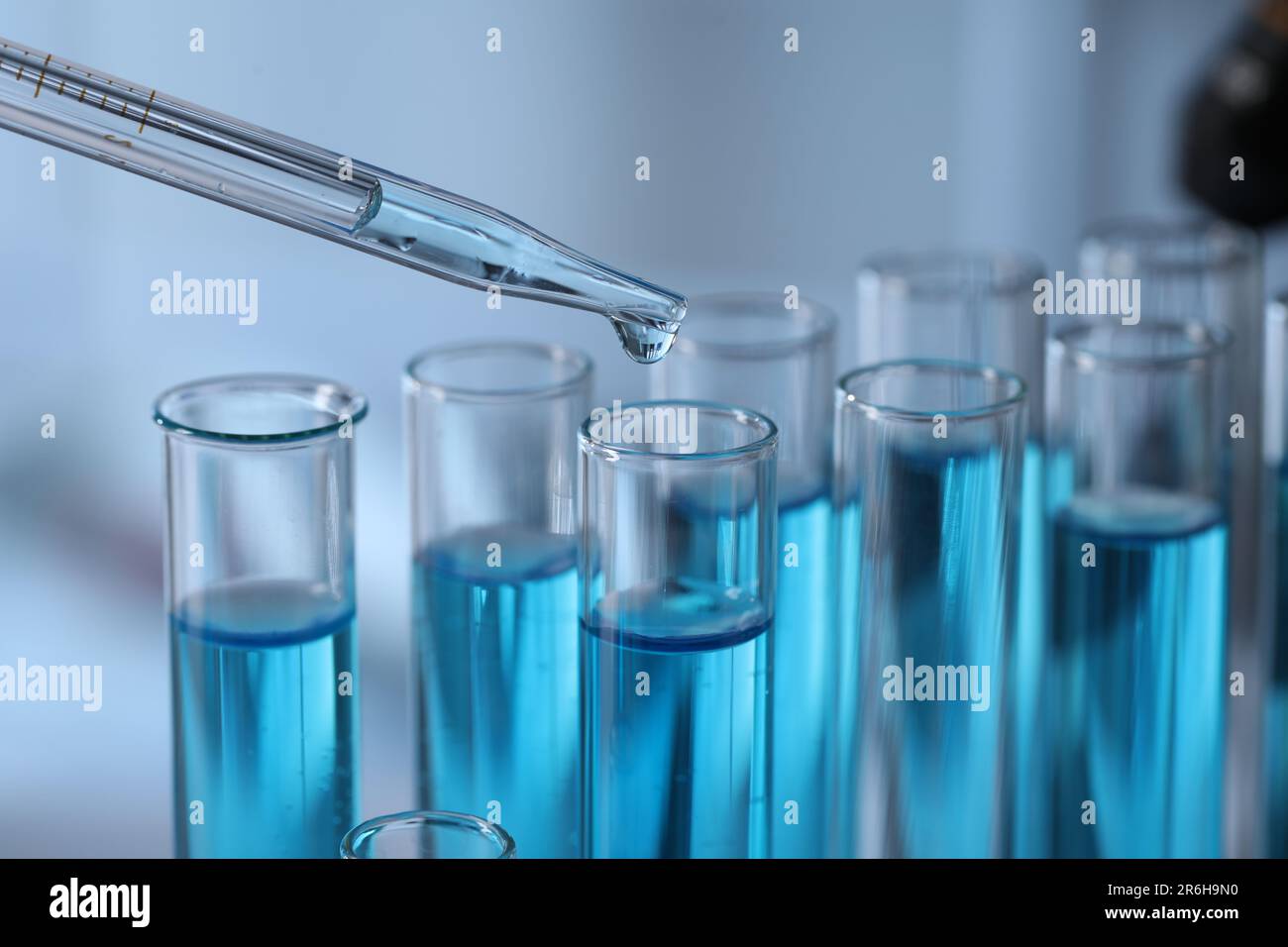 Dripping liquid from pipette into test tube in laboratory, closeup ...
