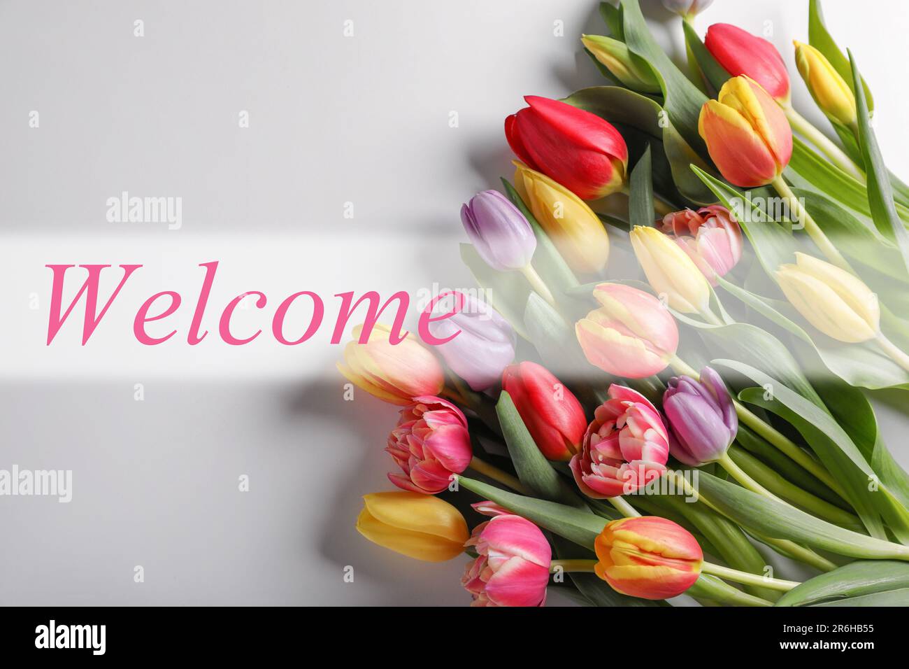 Welcome home card with flowers hi-res stock photography and images - Alamy