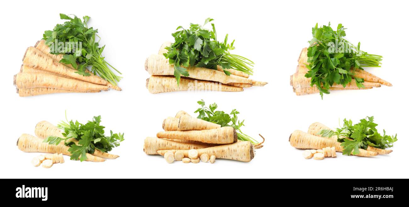 Collage with whole and cut parsley roots on white background Stock ...