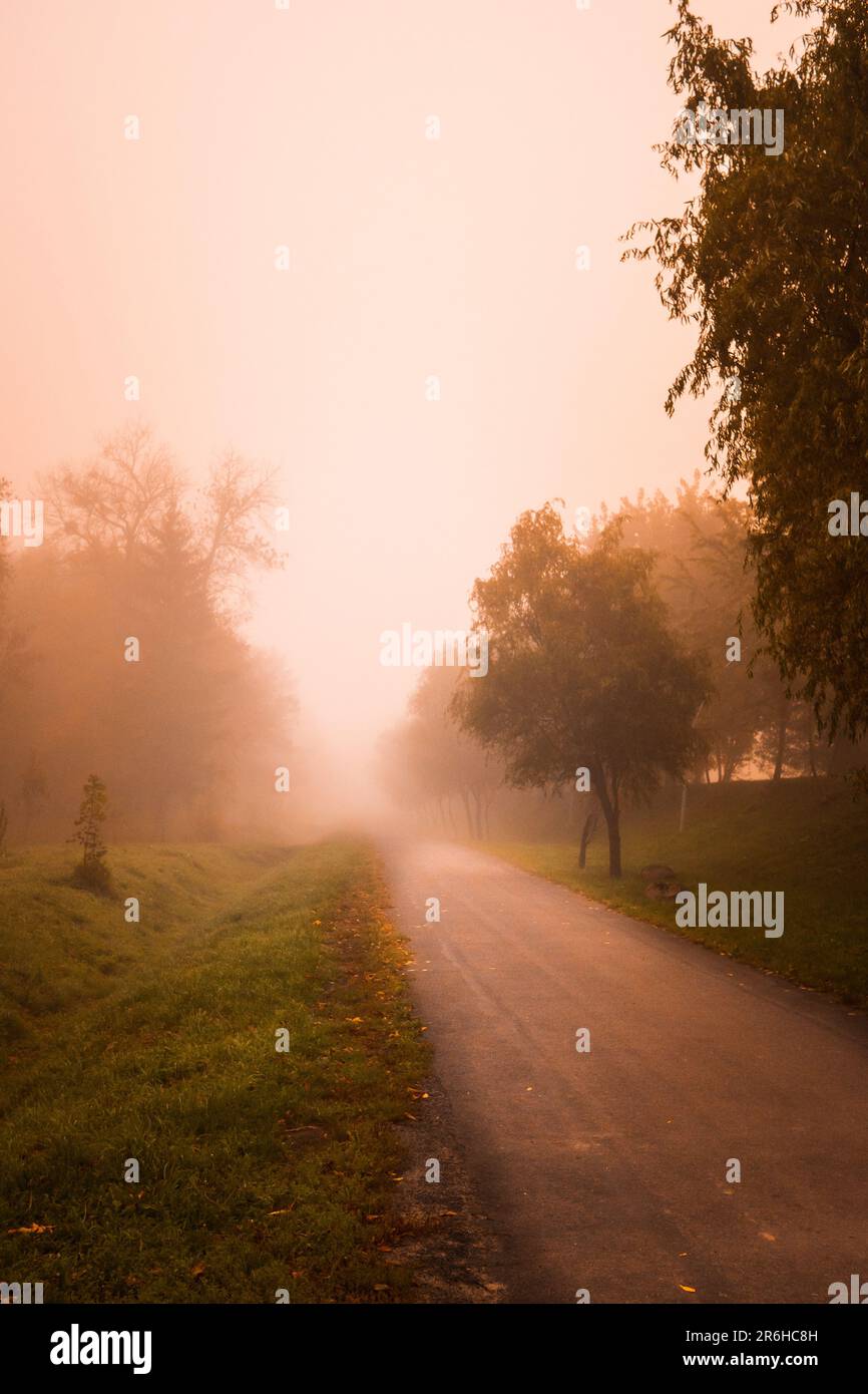 A scenic country road shrouded in a misty fog with a solitary bench on ...