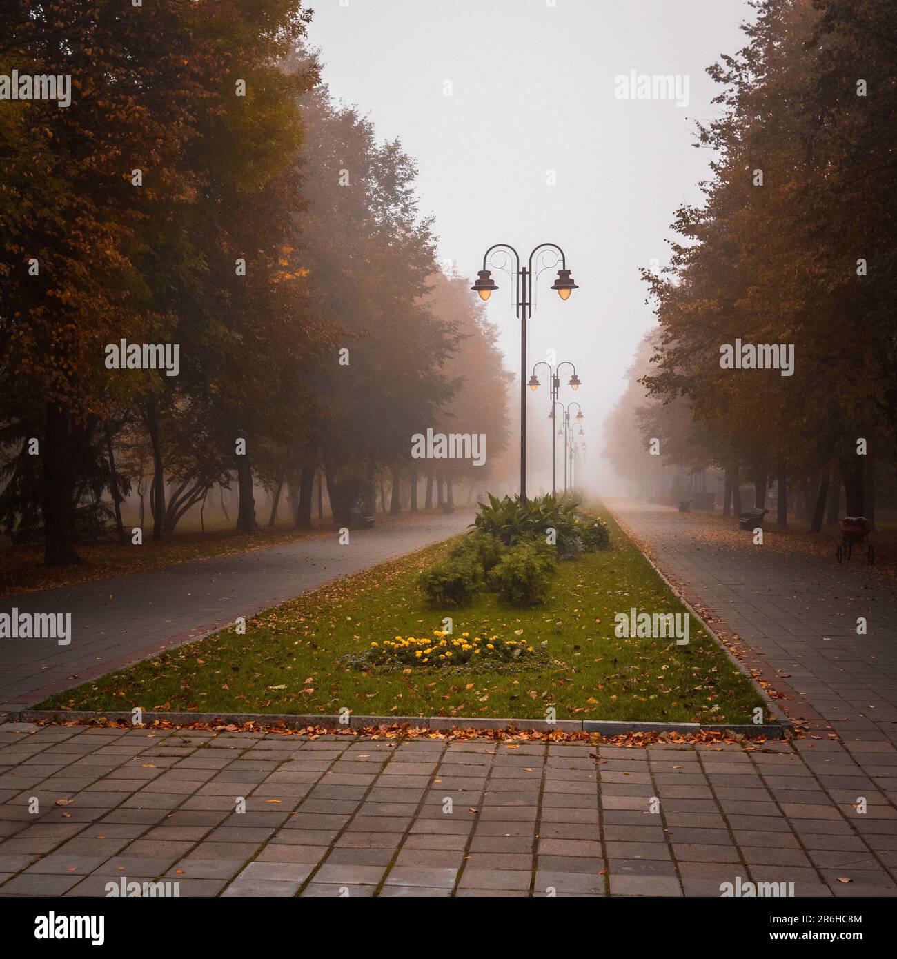 A street lamp illuminates a foggy landscape featuring lush trees and ...