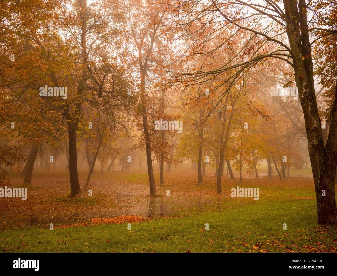 An idyllic autumnal park scene featuring a tranquil view of golden-hued ...