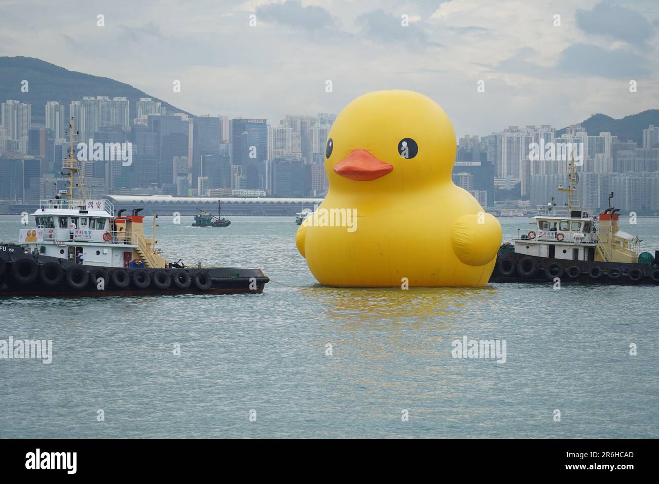 Hong Kong, Hong Kong. 09th June, 2023. An enormous inflatable duck is ...