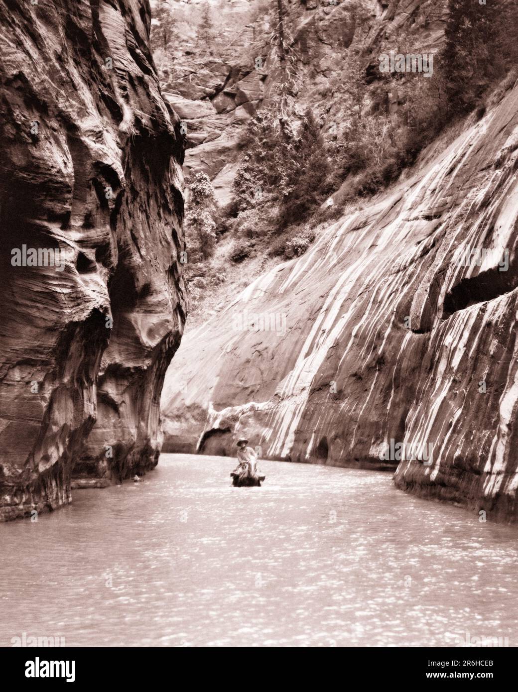 1920s MAN ON HORSEBACK IN THE NARROWS OF THE MUKUNTUWEAP RIVER ZION ...