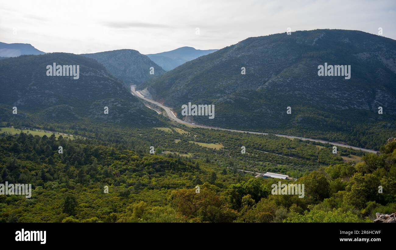 Forest landscape. Highway and wooded landscape on the plain Stock Photo ...