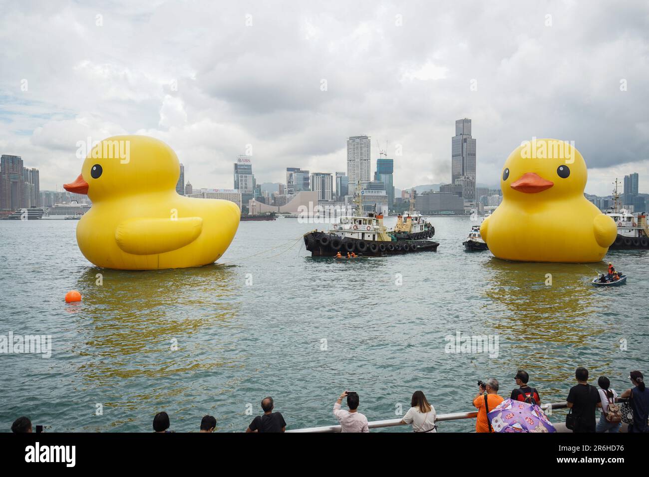 Hong Kong, Hong Kong. 09th June, 2023. Two enormous inflatable ducks ...