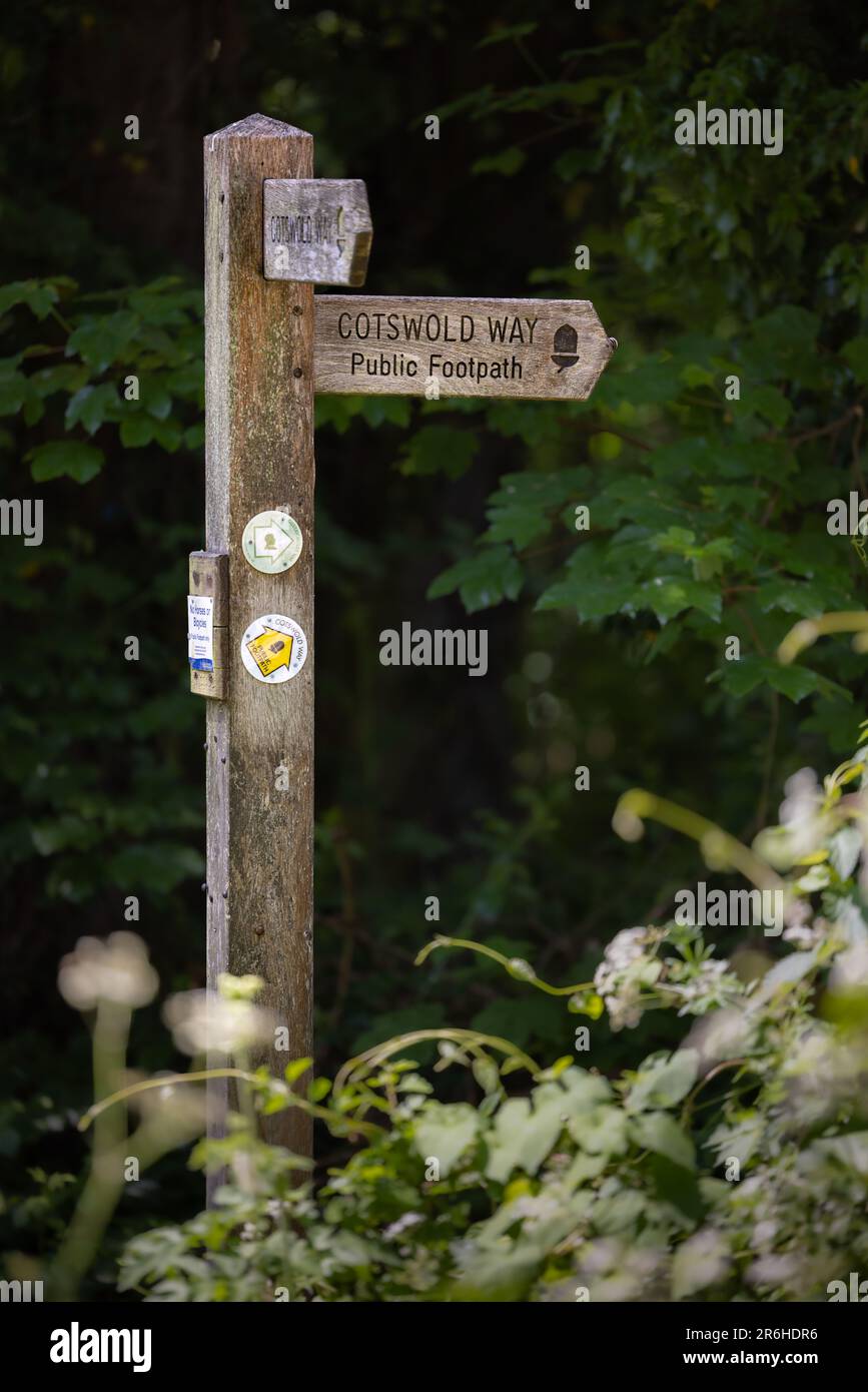 Rustic wooden signpost in the countryside pointing the way to the ...