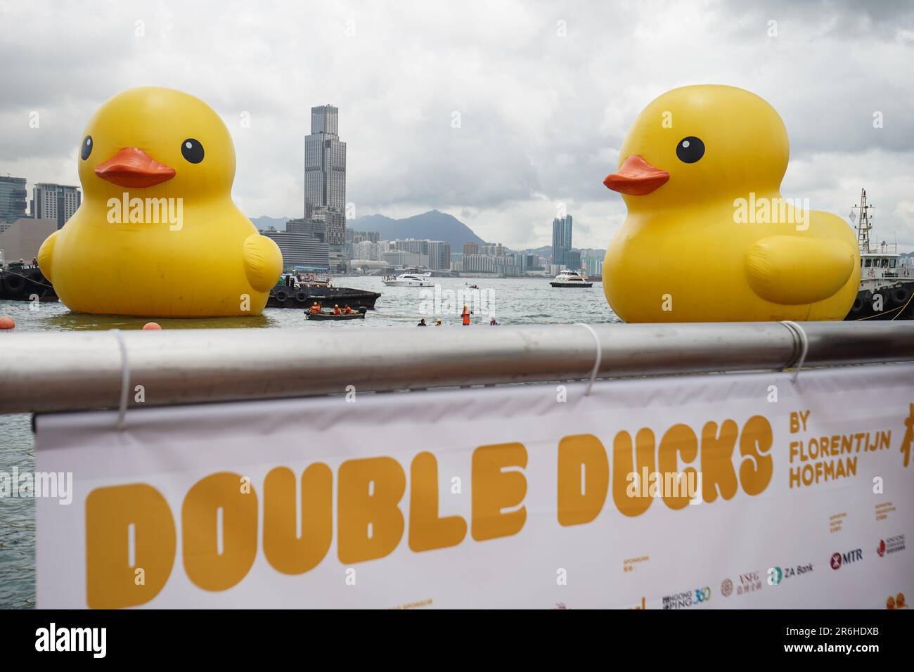 Hong Kong, Hong Kong. 09th June, 2023. Two enormous inflatable ducks ...