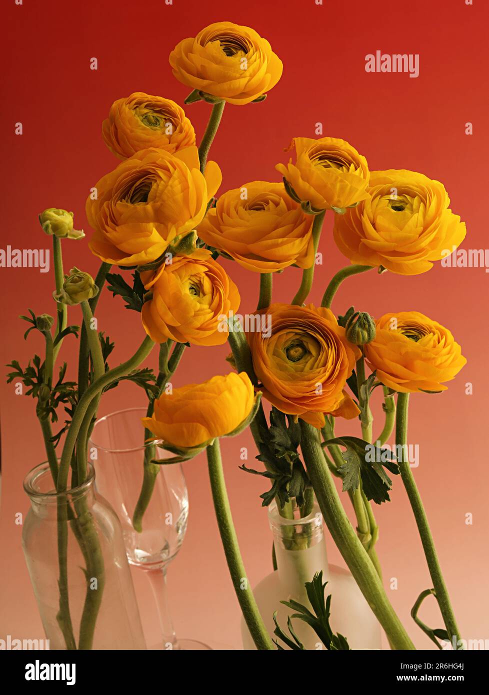 A collection of vibrant floral arrangements in glass vases awaiting ...