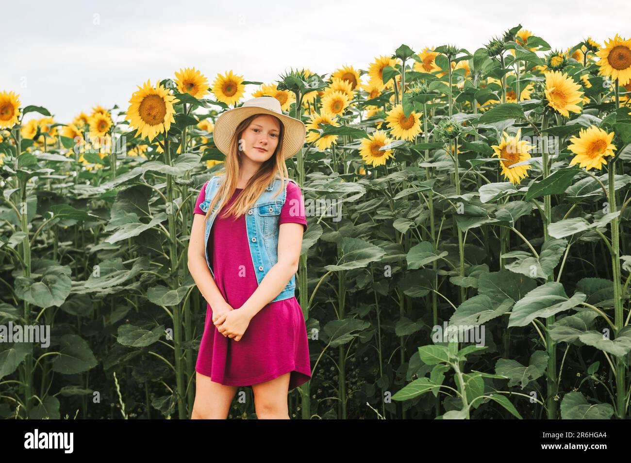 Outdoor portrait of pretty young girl posing in sunflower field Stock ...