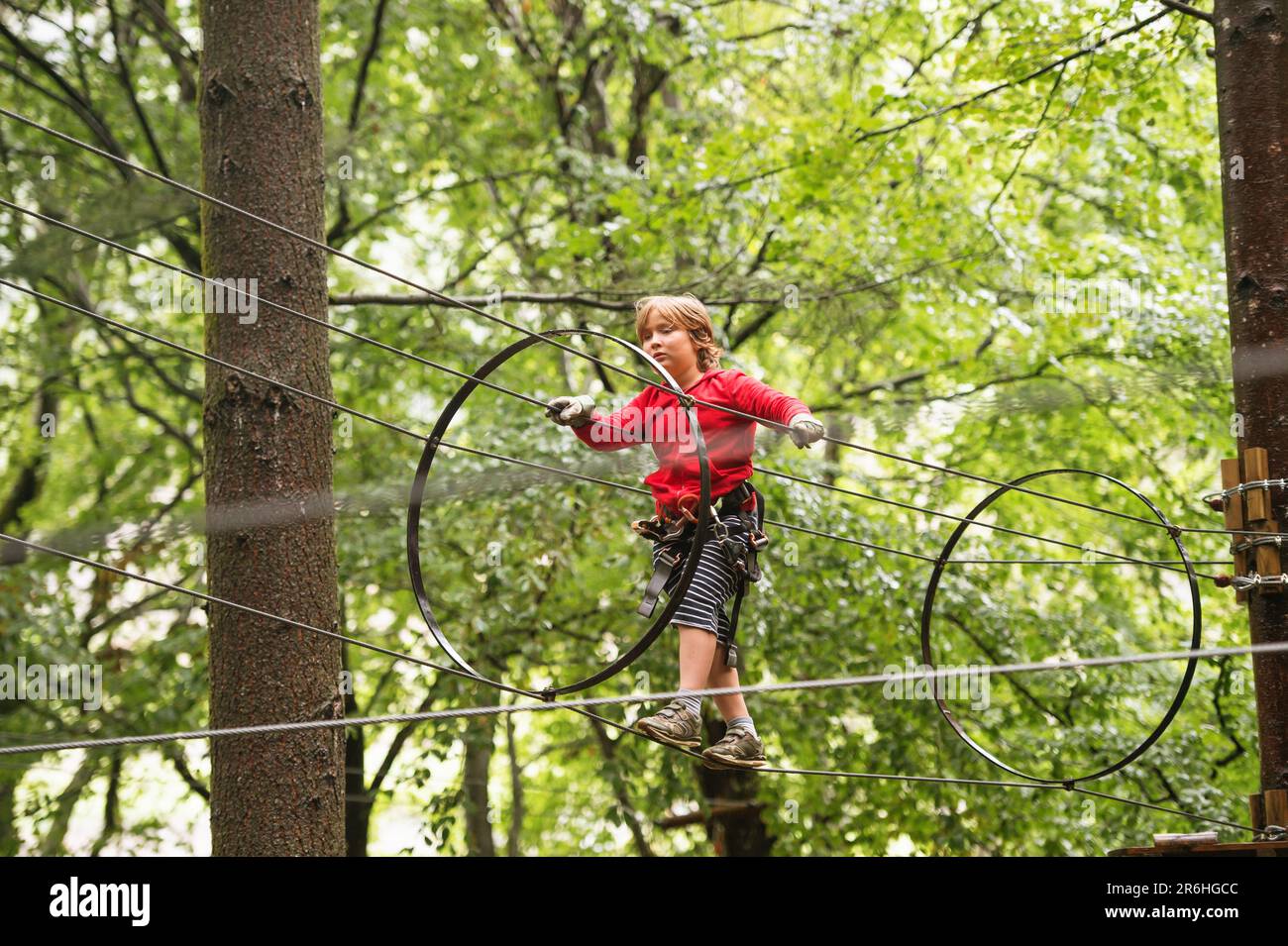 Little boy in forest adventure park walking high on rope, summer ...