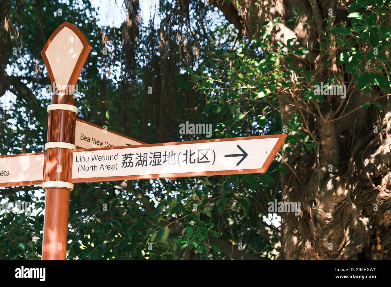 Street signs in a Chinese language, pointing towards Lihu Wetland ...