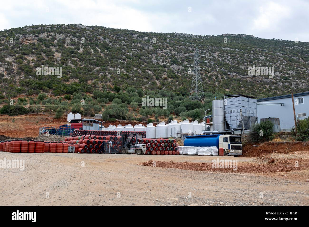 Olive barrel loaded onto transportation truck outside the factory ...