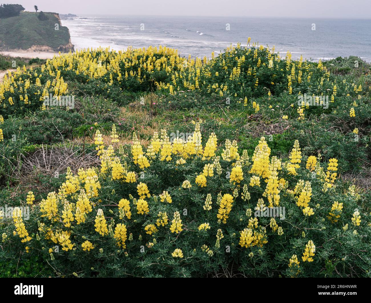 The Great Highway from San Francisco offers a neat driving experience ...
