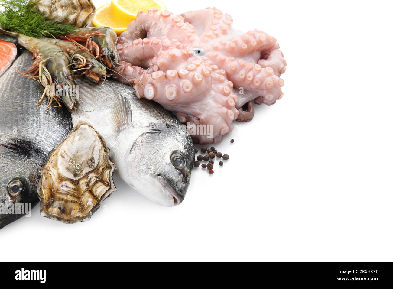 Fresh dorado fish, octopus, oyster and shrimps on white background ...
