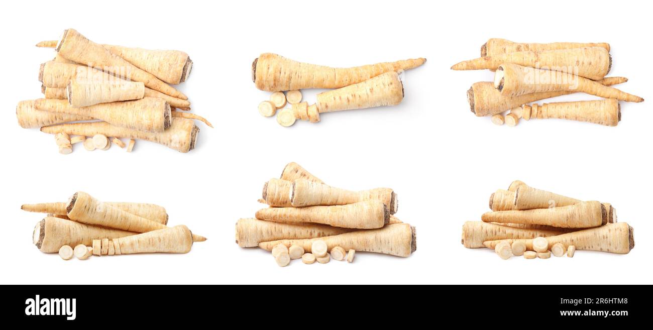 Collage with whole and cut parsley roots on white background Stock ...