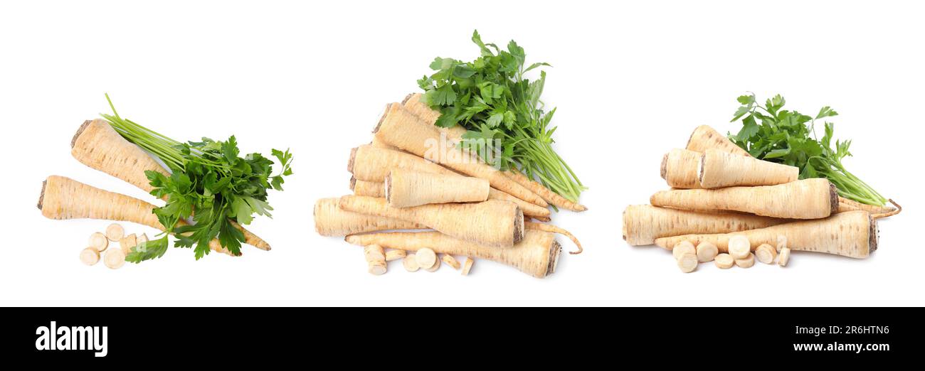 Collage with whole and cut parsley roots on white background Stock ...