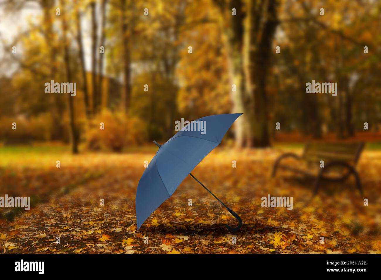 Autumn atmosphere. Dark blue umbrella left by someone in beautiful park ...