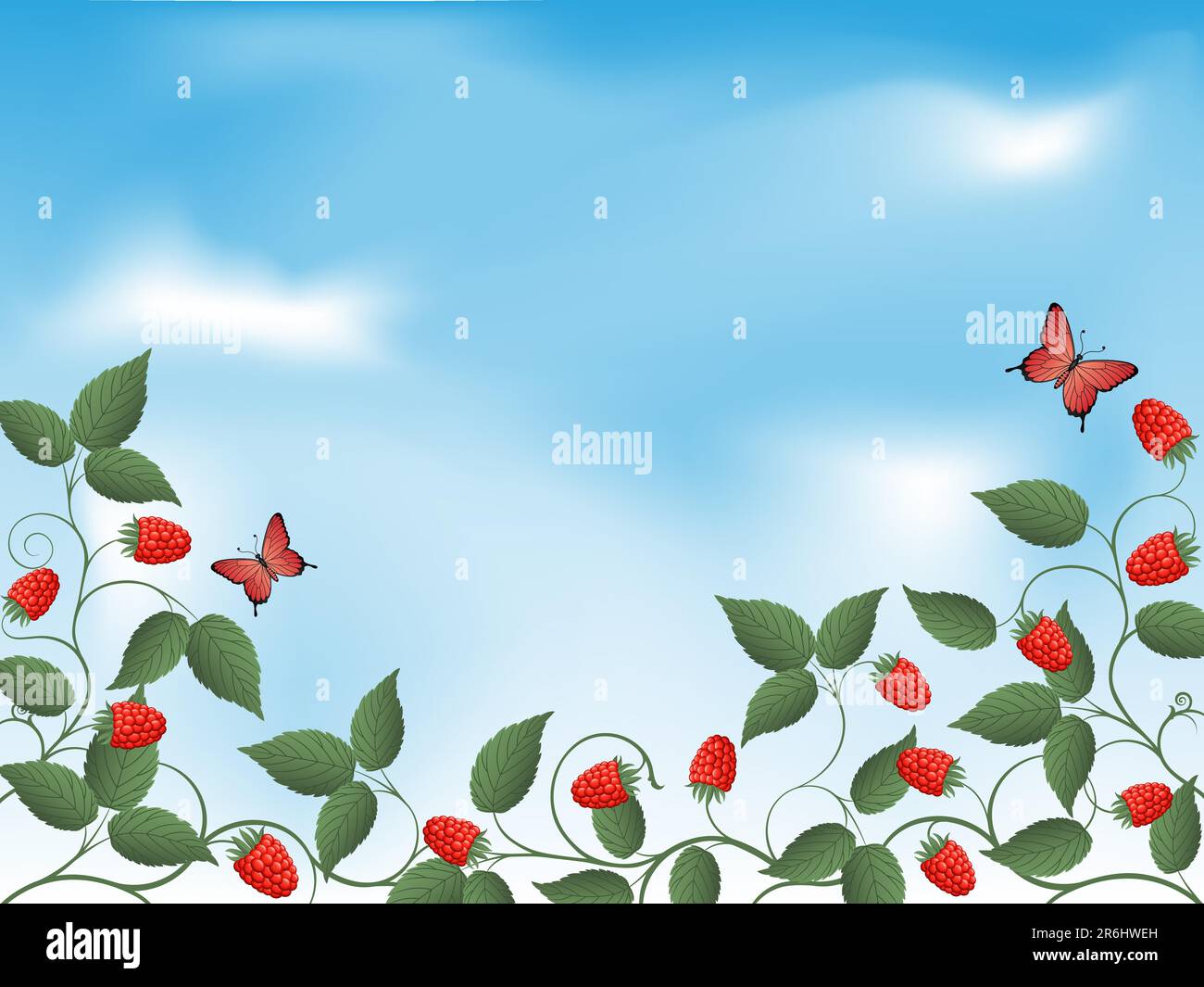 Floral background with a raspberry. Vector illustration Stock Vector ...