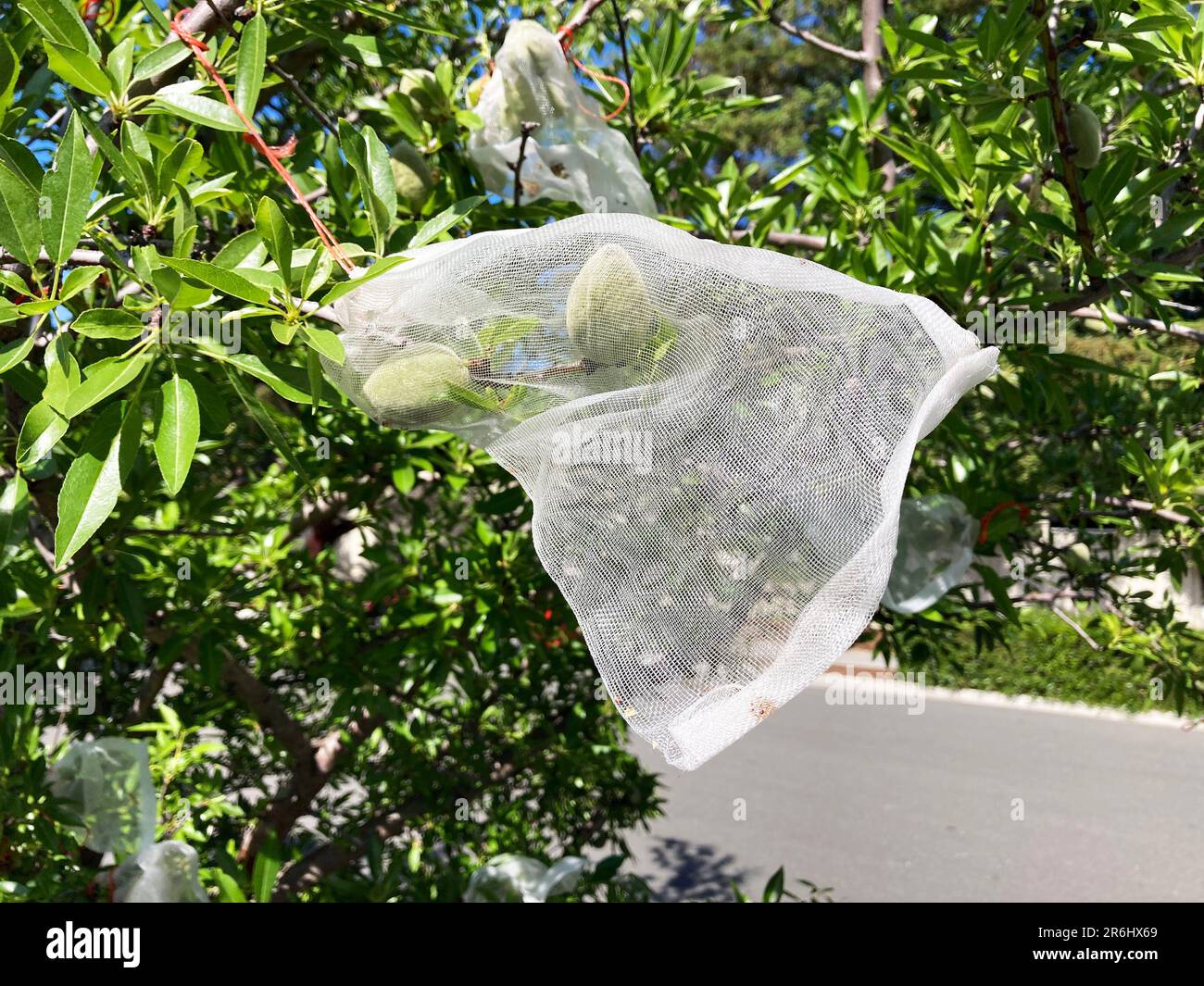 Fruits in plastic wrap hi-res stock photography and images - Alamy