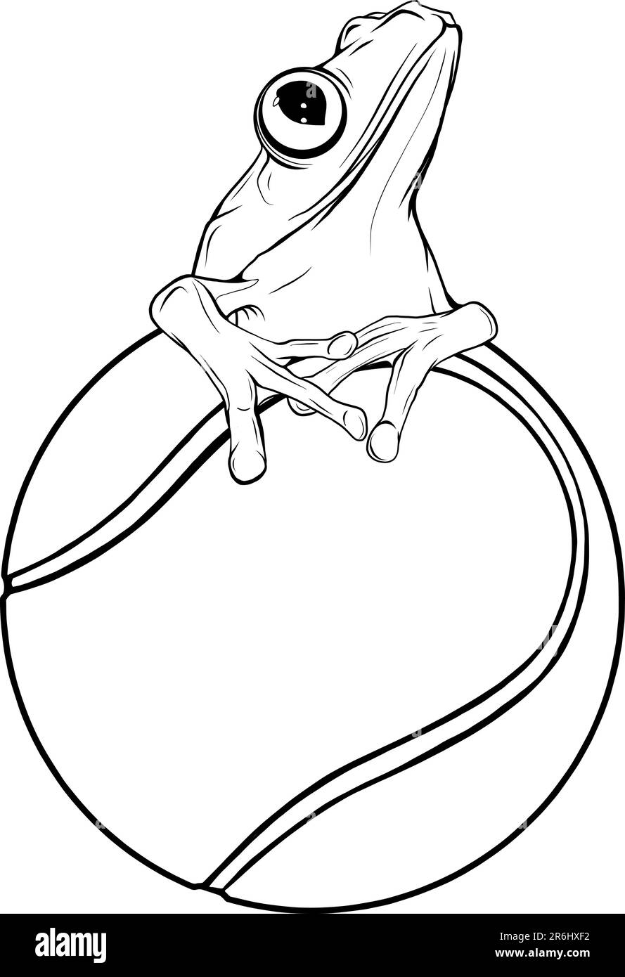 Monochrome frog on tennis ball line icon design vector Stock Vector ...