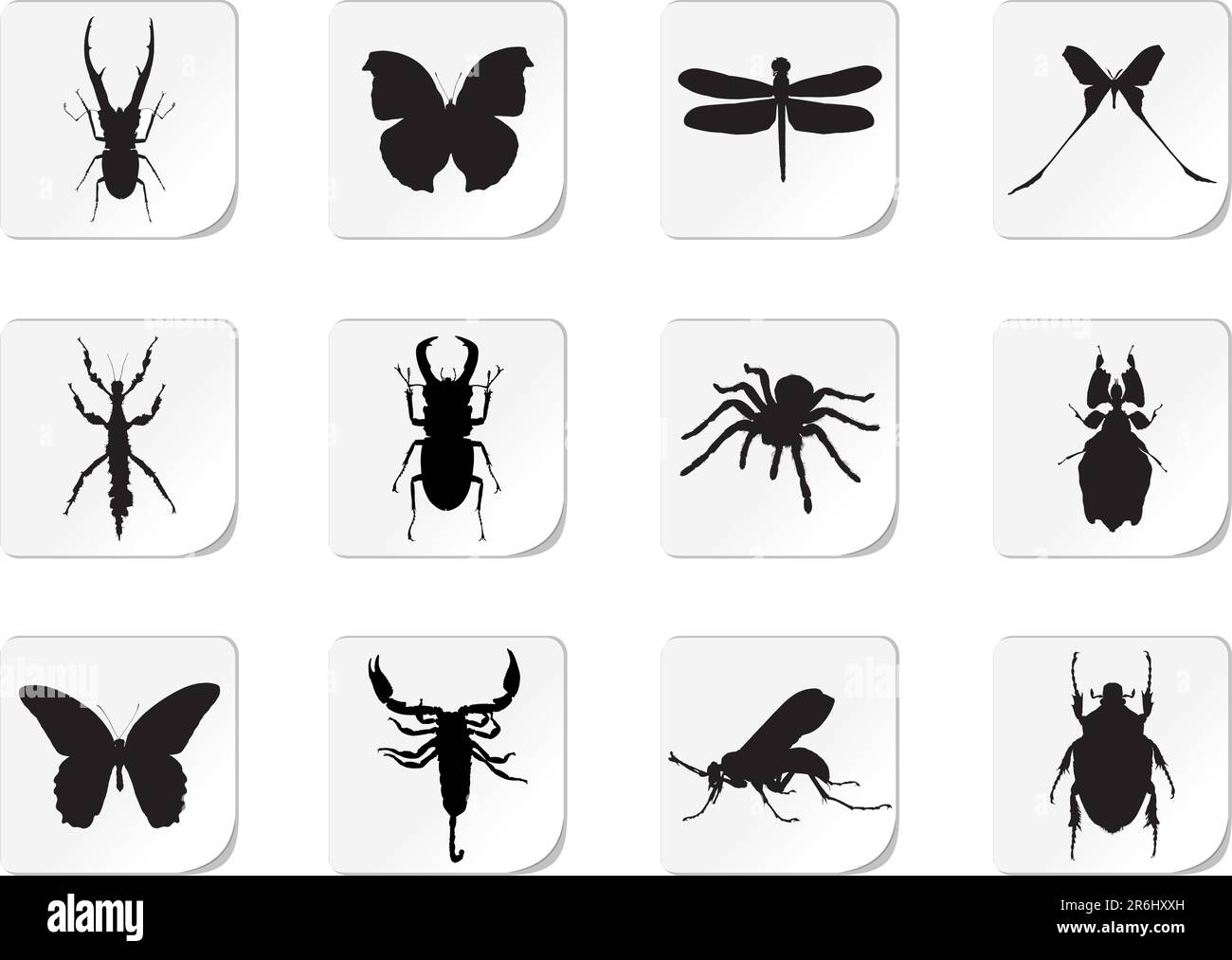 Livestock animals Stock Vector Images - Alamy