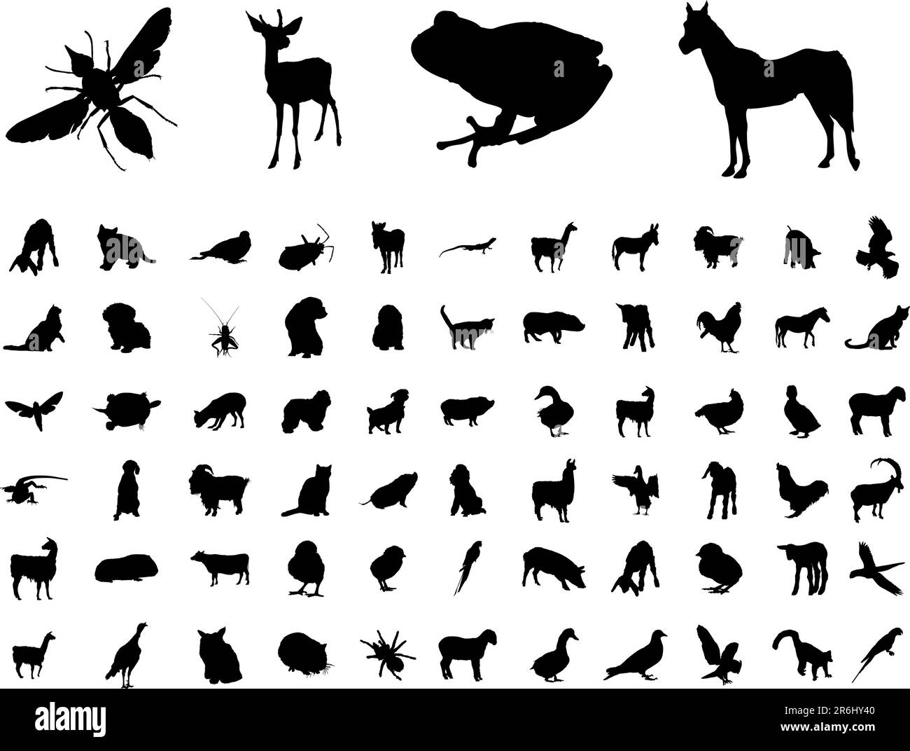 Livestock images Stock Vector Images - Alamy