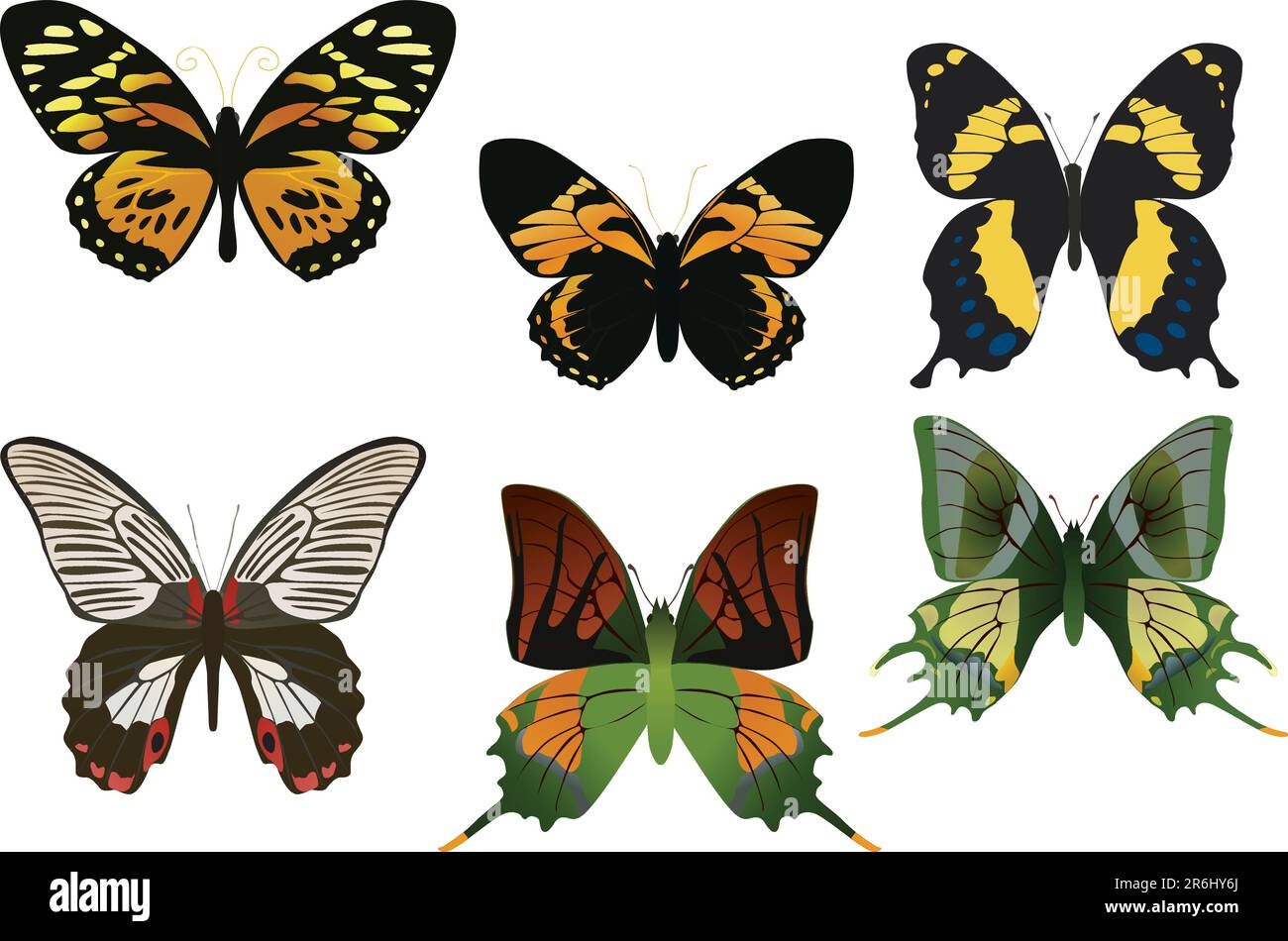 Six bright butterflies hi-res stock photography and images - Alamy