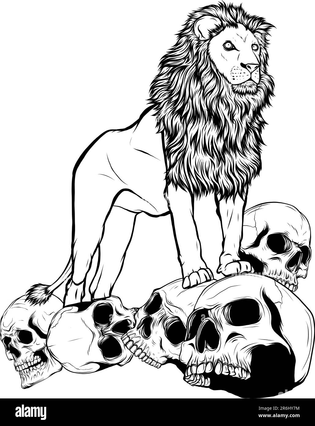vector illustration of Monochrome skulls under Lion Stock Vector Image ...