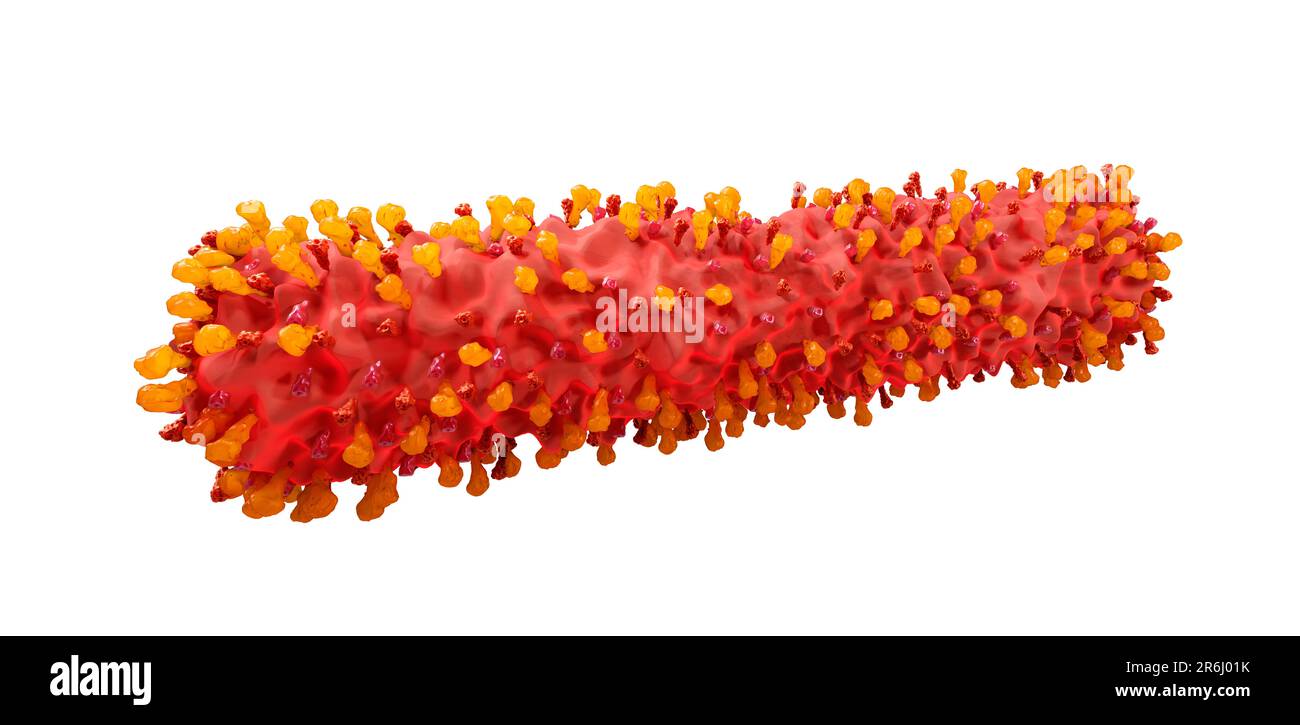 Filamentous respiratory syncytial virus, illustration Stock Photo - Alamy
