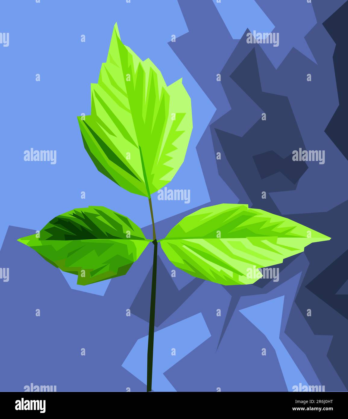 Young sycamore leaves Stock Vector Images - Alamy