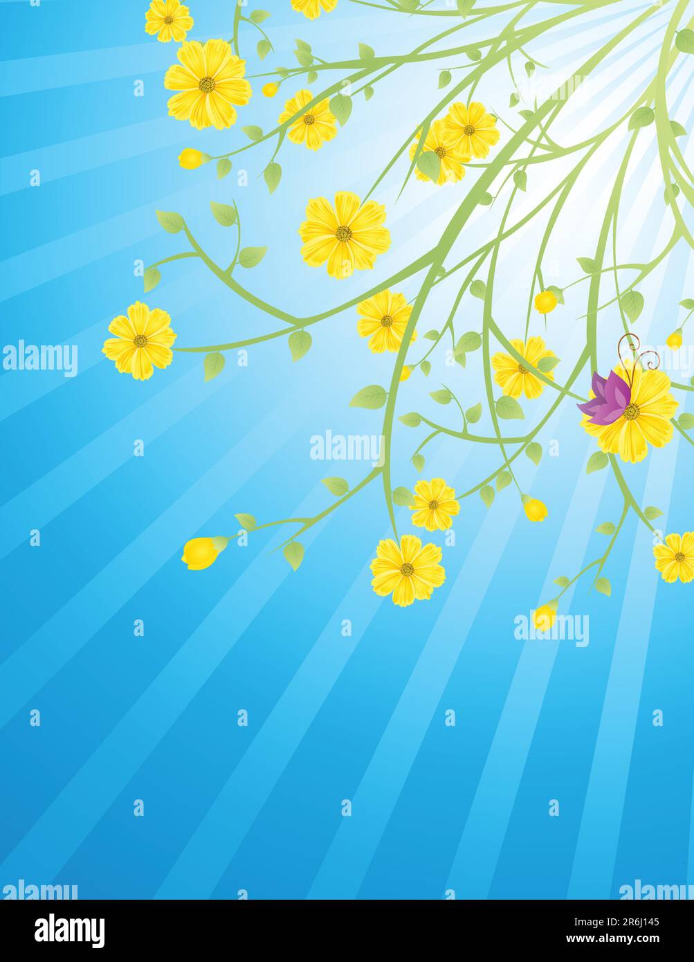 Shimmer height Stock Vector Images - Alamy