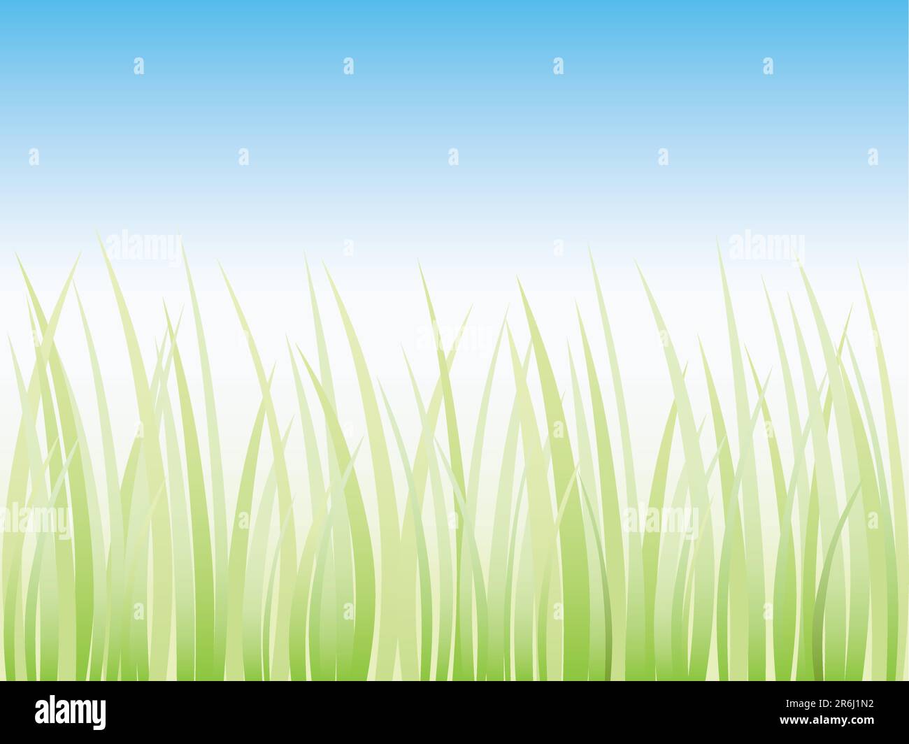 vector grass illustration background Stock Vector Image & Art - Alamy