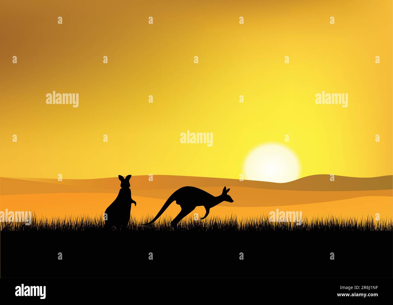 Sunset in Australia illustration Stock Vector Image & Art - Alamy
