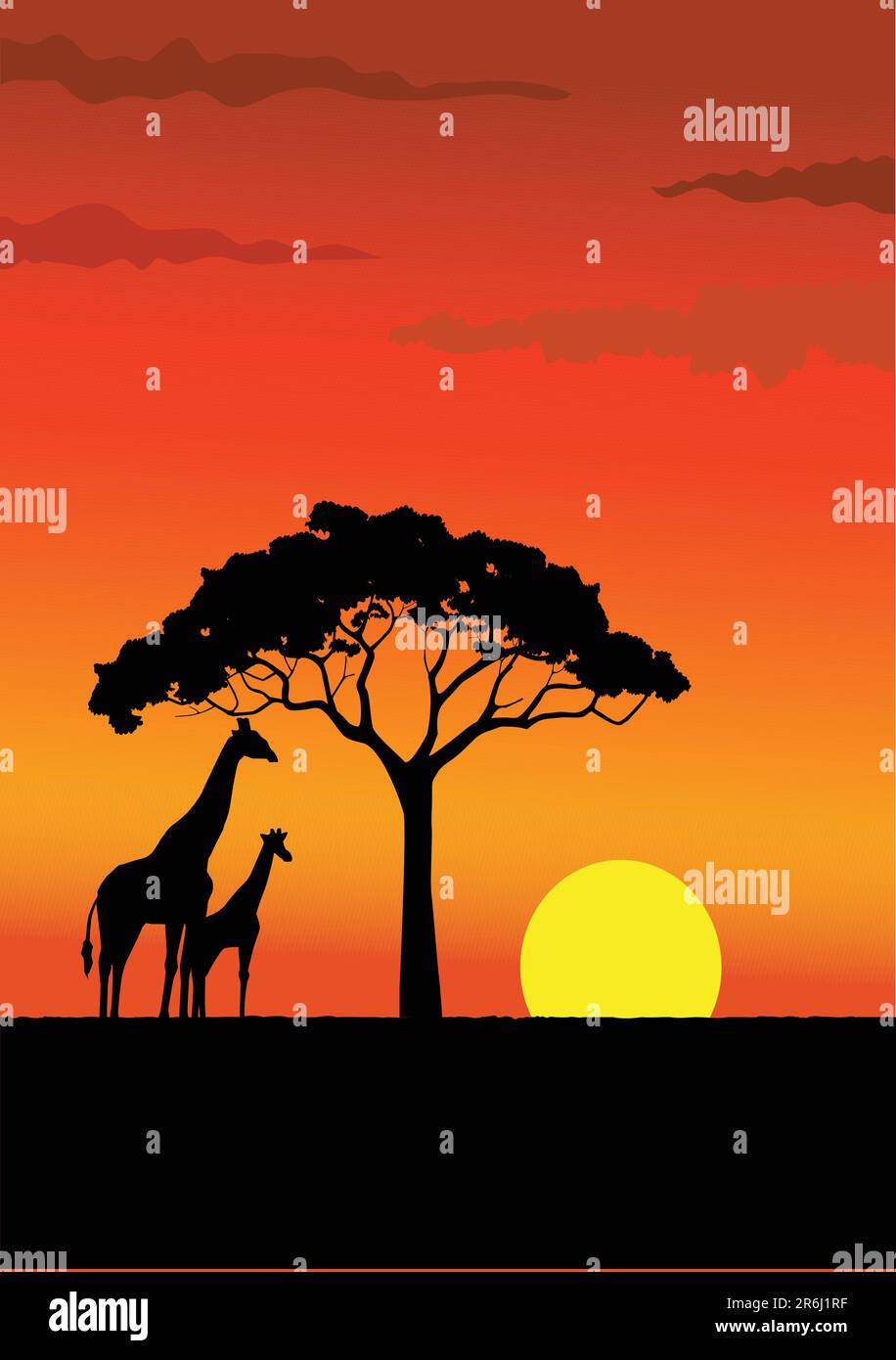 Sunset in Africa illustration Stock Vector Image & Art - Alamy