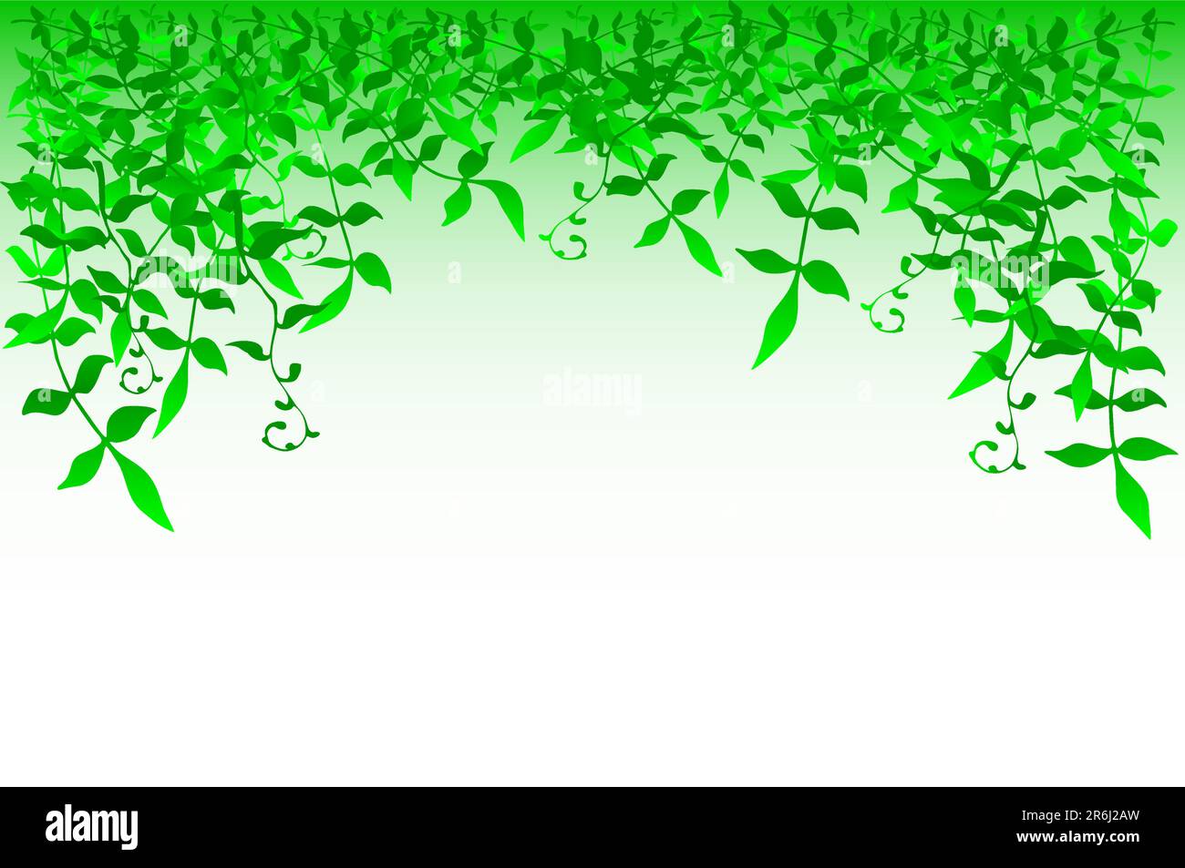 Vector frame of generic bushy plant that works either way up Stock ...