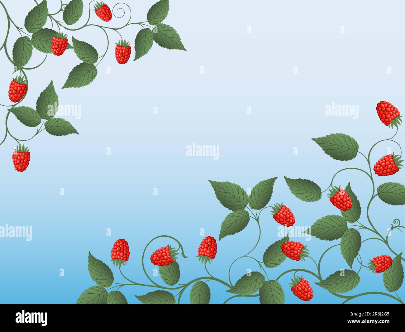 Floral background with a raspberry. Vector illustration Stock Vector ...