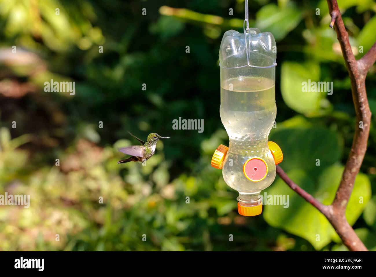 Backwards flight hi-res stock photography and images - Alamy