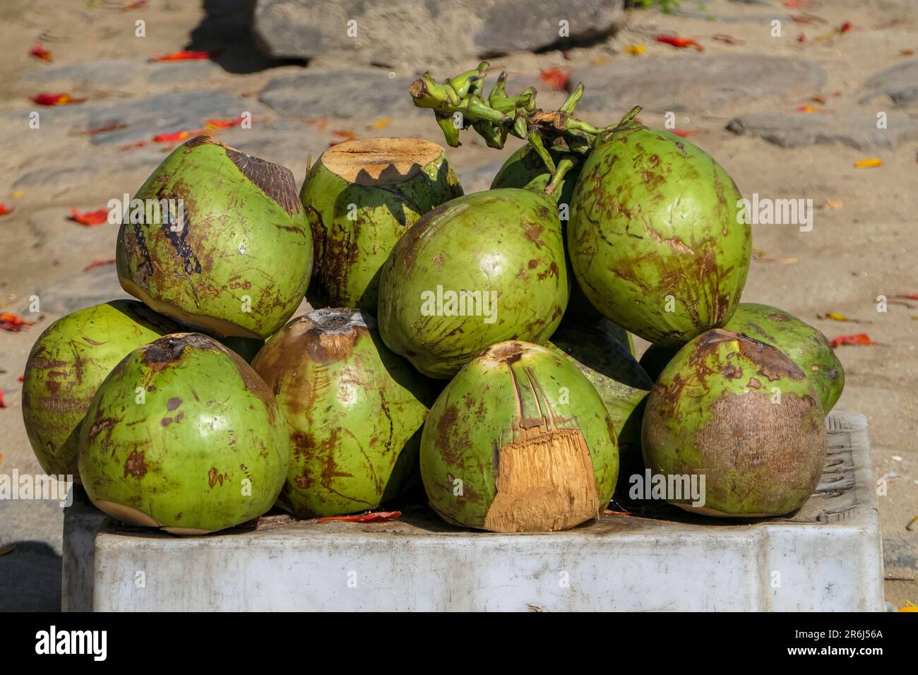 Close-up of fresh green coconuts stacked ready to sell on a market in ...