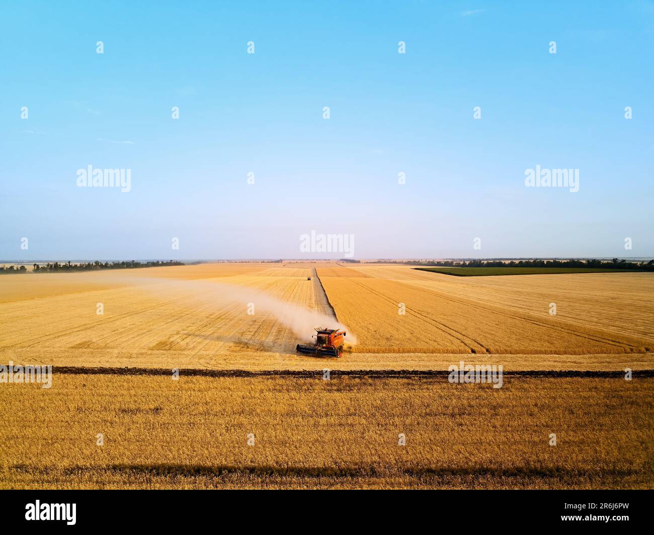 Aerial drone photo of red harvester working in wheat field on sunset ...