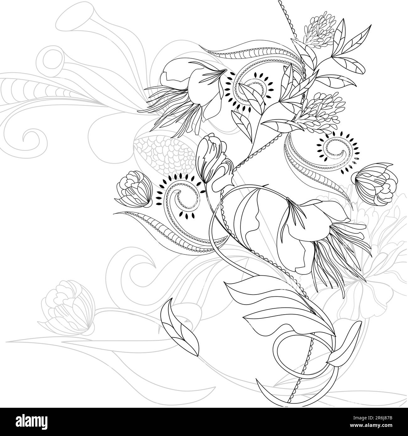 Peony frame flowers drawing Black and White Stock Photos & Images - Alamy