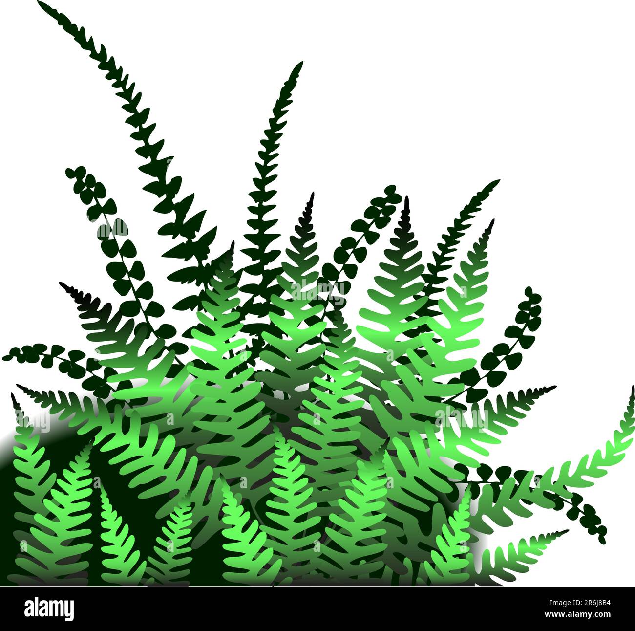 Vector design element of fern leaves Stock Vector Image & Art - Alamy